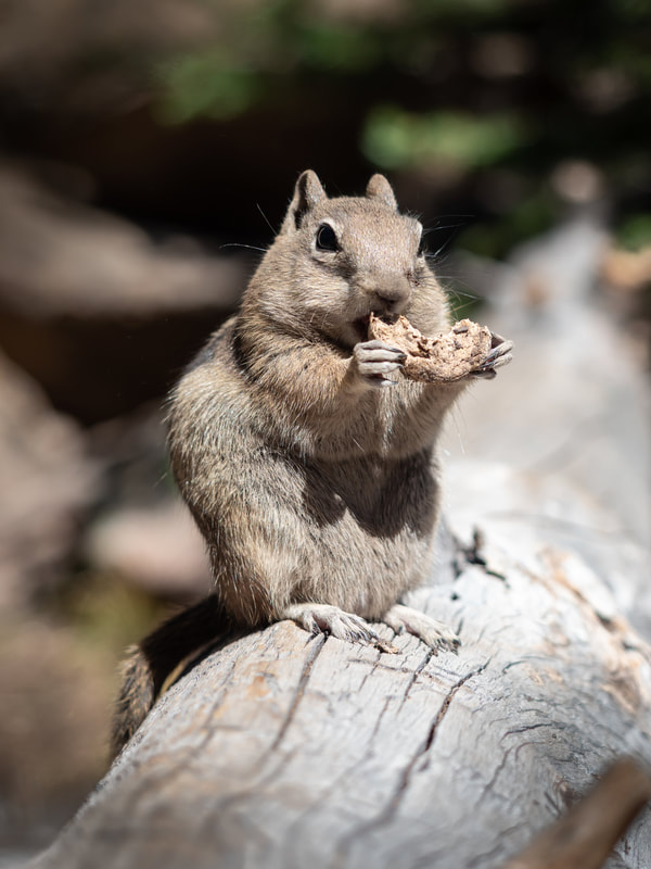 Summer Vacation Sep. 2018 - NICK CANHAM PHOTOGRAPHY